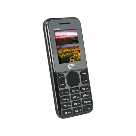 TELEFONO CELULAR NYX XYN306, PANTALLA COLOR, TECLADO FISICO, CAMARA ...
